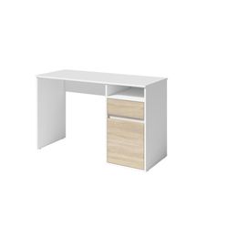 SCHREIBTISCH REGIS 120x53x75,5 cm B&uuml;rotisch Computertisch, Wei&szlig;
