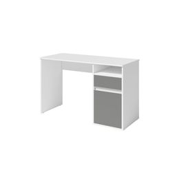 SCHREIBTISCH REGIS 120x53x75,5 cm B&uuml;rotisch Computertisch, Wei&szlig;