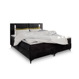 BOXBETT ALBA 160x200 cm mit Matratze und Topper - Schwarz