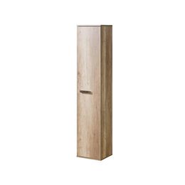 DREHT&Uuml;RENSCHRANK PALMERO 35/175/32cm 1-t&uuml;rig Eichefarben