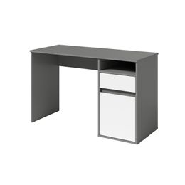 SCHREIBTISCH REGIS 120x53x75,5 cm B&uuml;rotisch Computertisch, Graphitfarben