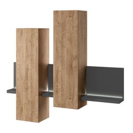 VITRINE in Anthrazit, Eichefarben