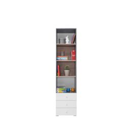 B&Uuml;CHERREGAL GALIA 45x40x190 cm, Regal Taupe