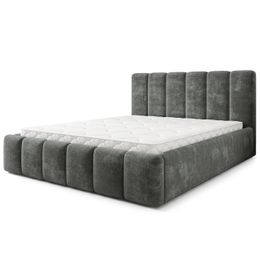 POLSTERBETT ATTORA LM 160x200 cm mit Bettk&auml;sten - Grau