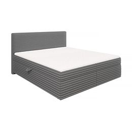 BOXBETT Roma 180/200 cm Dunkelgrau Pl&uuml;schcord