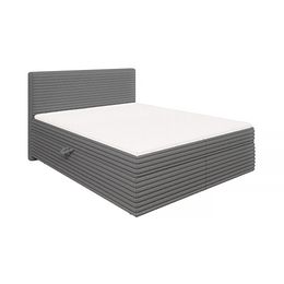 BOXBETT Roma 160/200 cm Dunkelgrau Pl&uuml;schcord