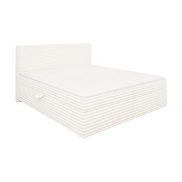 BOXBETT Roma 180/200 cm Hellbeige Pl&uuml;schcord
