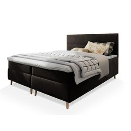 BOXBETT SANTA 160x200 cm mit Matratze und Topper - Schwarz