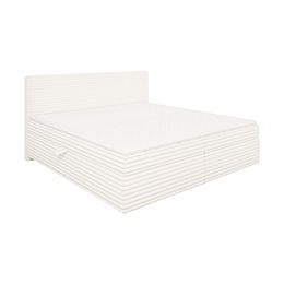 BOXBETT Roma 200/200 cm Hellbeige Pl&uuml;schcord