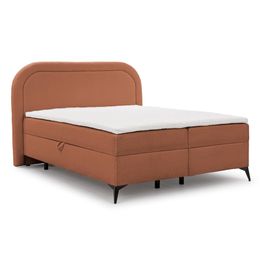 BOXBETT Sonna 140/200 cm Terrakotta Boucl&eacute;-Stoff mit abgerundetem Kopfteil und mit schwarzen Metallf&uuml;&szlig;e