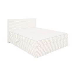 BOXBETT Roma 160/200 cm Hellbeige Pl&uuml;schcord