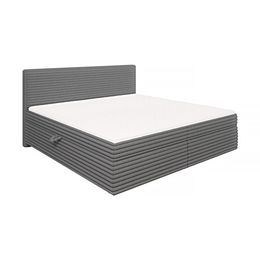 BOXBETT Roma 200/200 cm Dunkelgrau Pl&uuml;schcord