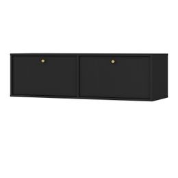 LOWBOARD TORINO 120,6x40,8x35 cm mit 2 T&uuml;ren Graphitfarben