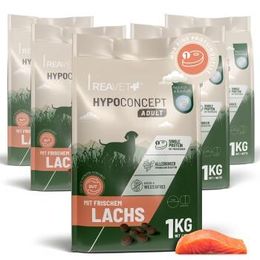 REAVET Hundetrockenfutter Hypoconcept &ndash; Lachs | 5x1kg
