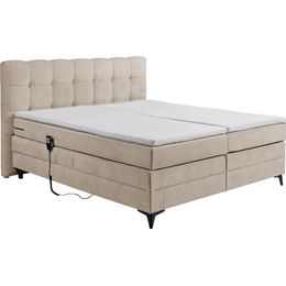 Boxspringbett ED EXCITING DESIGN "Atlas", cream, B:204cm L:230cm, 100% Polyester, Komplettbetten, Boxspringbett
