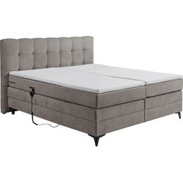 Boxspringbett ED EXCITING DESIGN "Atlas", stone, B:204cm L:230cm, 100% Polyester, Komplettbetten, Boxspringbett