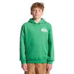 Kapuzensweatshirt Quiksilver "Omni Logo", Jungen, Gr. 14, leprechaun, Obermaterial: 55% Baumwolle, 45% Polyester., Sweatshirts