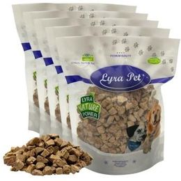 LYRA PET Lyra Entenleberw&uuml;rfel gefriergetrocknet 1 kg