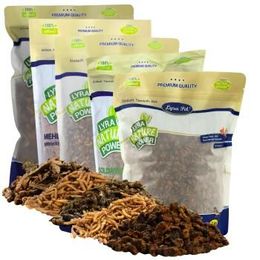 LYRA PET Insekten Probier Mix getrocknet