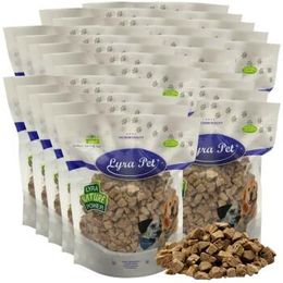 LYRA PET Lyra Entenleberw&uuml;rfel gefriergetrocknet 5 kg