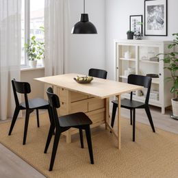 IKEA NORDEN / LISABO Tisch und 4 St&uuml;hle