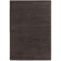 Teppich Astra "Savona 260", braun, B:160cm H:2mm L:230cm, Polypropylen, Teppiche, Teppich, Indoor, Designed in Germany, Oeko-Tex