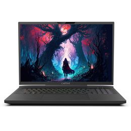 Captiva Gaming-Notebook "Ultimate Gaming I81-607", schwarz, 64 GB RAM 2.000 GB SSD, Core i9, ohne Betriebssystem, Notebooks