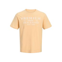 Jack & Jones T-Shirt JACK & JONES "JPRBLUCALVIN SS TEE FST", Jungen, Gr. M, beige (sahara sun), Jersey, Obermaterial: 100% Baumwolle, bedruckt, regular fit normal, Rundhals, Shirts T-Shirt