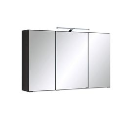 Held Spiegelschrank Held M&ouml;bel Cardiff, Graphit, Metall, 6 F&auml;cher, 100x64x20 cm, Made in Germany, Badezimmer, Badezimmerspiegel, Spiegelschr&auml;nke