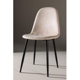 Esszimmerstuhl VENTURE HOME "Polar, 2er-Set Esszimmerst&uuml;hle in Beige-Samt, 150 kg belastbar", beige, schwarz, beige, B:46cm H:88cm T:53cm, St&uuml;hle, Esszimmerstuhl, Polsterstuhl, Samt-Bezug, Metallbeine, abgerundet, modern