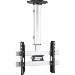 TV- Halterung CM Silber