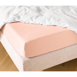 Tchibo - Jersey-Spannbettlaken - ros&eacute;