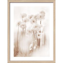 Pro Art Gerahmtes Bild DRIED FIBER VII