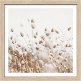 Pro Art Gerahmtes Bild DRIED FIBER IV