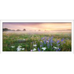 Pro Art Gerahmtes Bild MORNING HAZE