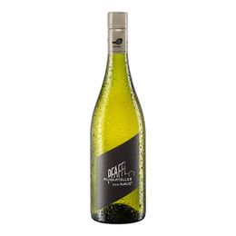 Pfaffl Muskateller 2025, Wei&szlig;wein, trocken, &Ouml;sterreich, 1 Flasche &agrave; 0,75 l