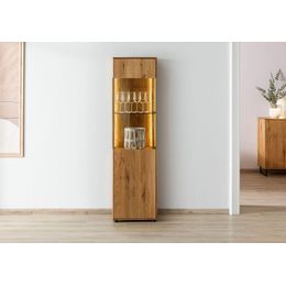 Vitrine Wildeiche 45x38x168 natur ge&ouml;lt WIEN #230
