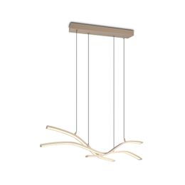 Trio Pendelleuchte SPIDER