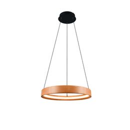 Trio Pendelleuchte LYNWOOD