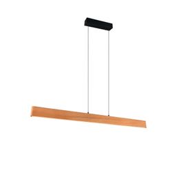 Trio Pendelleuchte EDGEWOOD