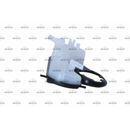 NRF Ausgleichsbeh&auml;lter, K&uuml;hlmittel 454070 f&uuml;r JAGUAR