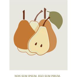 Bild Komar "Cultivated Pears", orange (farbe bild(er): orange), B:40cm H:50cm, Holz, Papier, Bilder, Bild, Wandbild zur Dekoration - ohne Rahmen