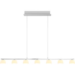 LED Pendelleuchte "JANE", aluminiumfarben matt, 7, 1 Stk., HELL H&Ouml;LLISCH GUTES LICHT, Leuchten, Tastdimmer, Dim to warm, Stufenlos h&ouml;henverstellbar, LED Pendelleuchte