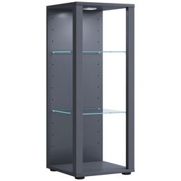 Vitrine Glasol M Anthrazit