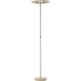 LED Stehlampe "MONZA X", sand, 1, &Oslash; 42cm H: 180cm, 1 Stk., ohne Lesearm, HELL H&Ouml;LLISCH GUTES LICHT, Leuchten, Tastdimmer, LED Stehlampe