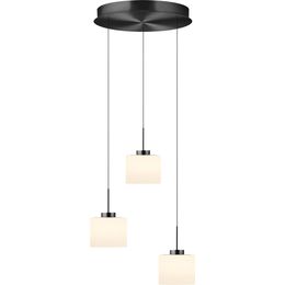 LED Pendelleuchte "ELLI", anthrazit matt eloxiert, 3, &Oslash; 43cm, 1 Stk., HELL H&Ouml;LLISCH GUTES LICHT, Leuchten, B-Link Fernbedienung, Stufenlos h&ouml;henverstellbar, LED Pendelleuchte