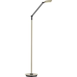 LED Stehlampe "EVOLO", taupe, 1, &Oslash; 22cm H: 110cm, 1 Stk., HELL H&Ouml;LLISCH GUTES LICHT, Leuchten, Tastdimmer, CCT, LED Stehlampe