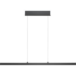 LED Pendelleuchte "KARO", schwarz (anthrazit matt eloxiert), 1, 1 Stk., HELL H&Ouml;LLISCH GUTES LICHT, Leuchten, Fernbedienung, CCT, Stufenlos h&ouml;henverstellbar, LED Pendelleuchte