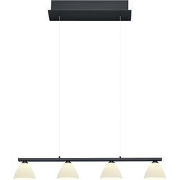 LED Pendelleuchte "MONA", schwarz, 4, 1 Stk., HELL H&Ouml;LLISCH GUTES LICHT, Leuchten, Tastdimmer, Stufenlos h&ouml;henverstellbar, LED Pendelleuchte