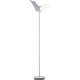 LED Stehlampe "TWICE", aluminiumfarben matt, 2, H: 185cm, 1 Stk., HELL H&Ouml;LLISCH GUTES LICHT, Leuchten, Tastdimmer, CCT, LED Stehlampe